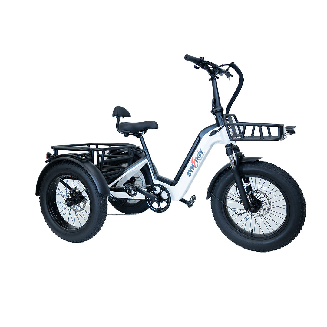 Synergy Triad 3 Wheel Bike – American Iron Cycles