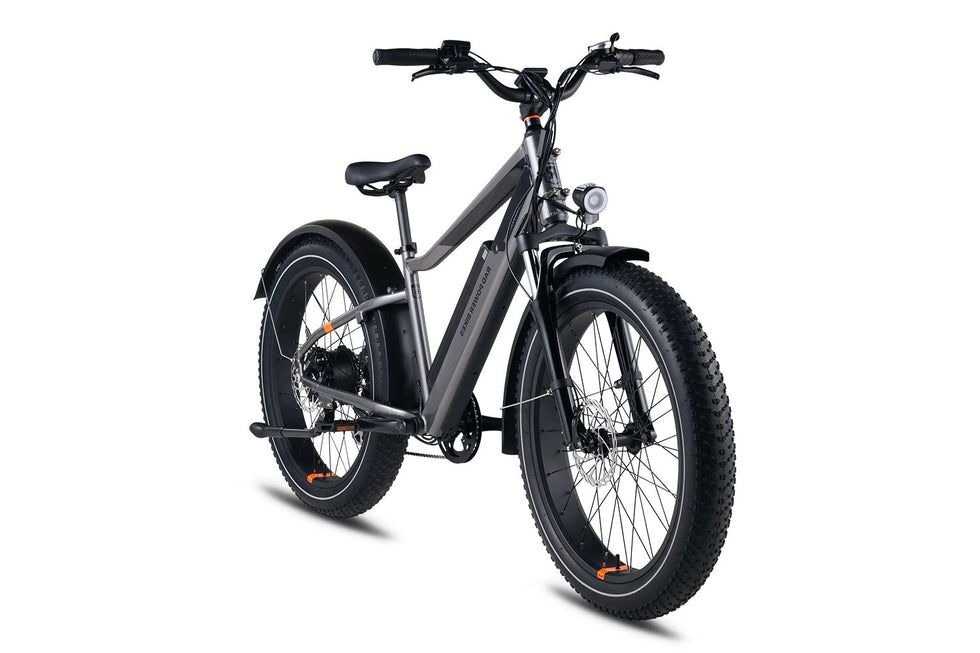 Rad Power Bikes – American Iron Cycles
